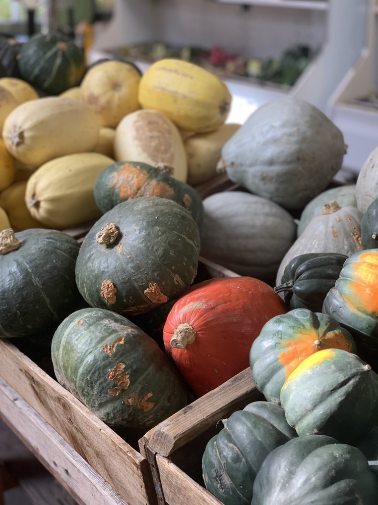 ALLANDALE FARM - 85 Photos & 65 Reviews - Nurseries & Gardening - 259 ...