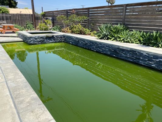 THE POOL NERD - Updated October 2025 - 33 Photos & 104 Reviews ...