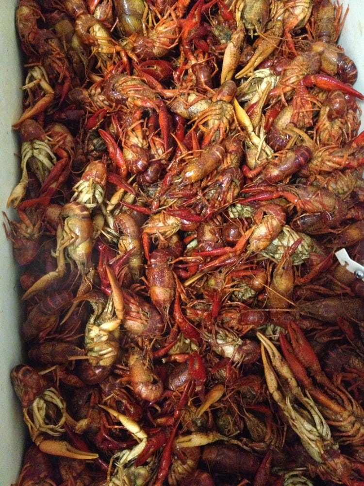 MICHELLE’S CAJUN SHACK - Updated September 2025 - 321 N Gulf Blvd ...