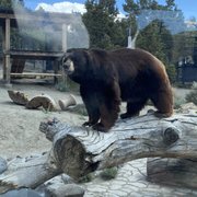 ANIMAL ARK - 490 Photos & 138 Reviews - Zoos - 1265 Deerlodge Rd, Reno ...