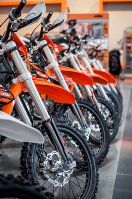 WMR COMPETITION PERFORMANCE - Updated January 2026 - 29 Photos & 13 ...