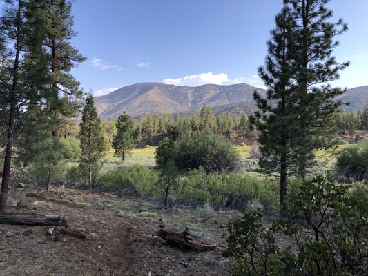 HEART BAR CAMPGROUND - Updated June 2025 - 123 Photos & 76 Reviews ...