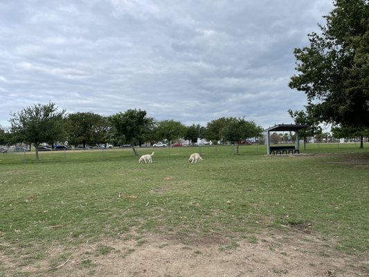 LINDALE PARK - 20 Photos & 15 Reviews - 400 Marine Dr, Galveston, Texas ...