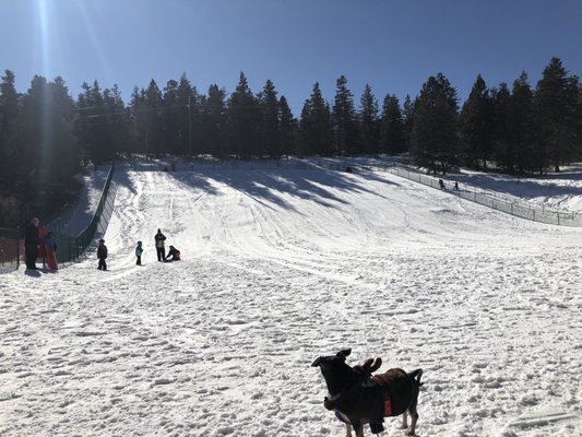CAPULIN SNOW PLAY AREA - 26 Photos - R 536, New mexixo, New Mexico ...