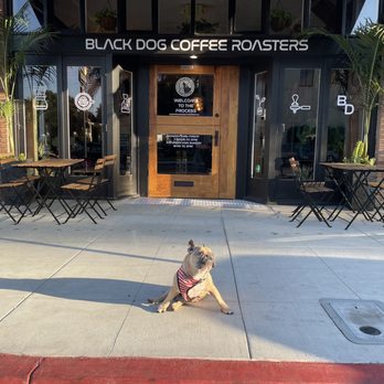 BLACK DOG COFFEE ROASTERS - Updated July 2024 - 100 Photos & 38 Reviews - 1101 East 3rd St, Long ...