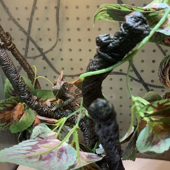 PET BAZAAR - Updated June 2024 - 66 Photos & 72 Reviews - 490 State Rd ...