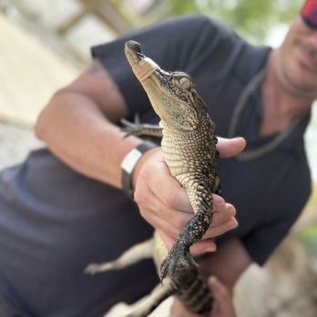 GULF COAST GATOR RANCH & TOURS - Updated December 2025 - 241 Photos ...