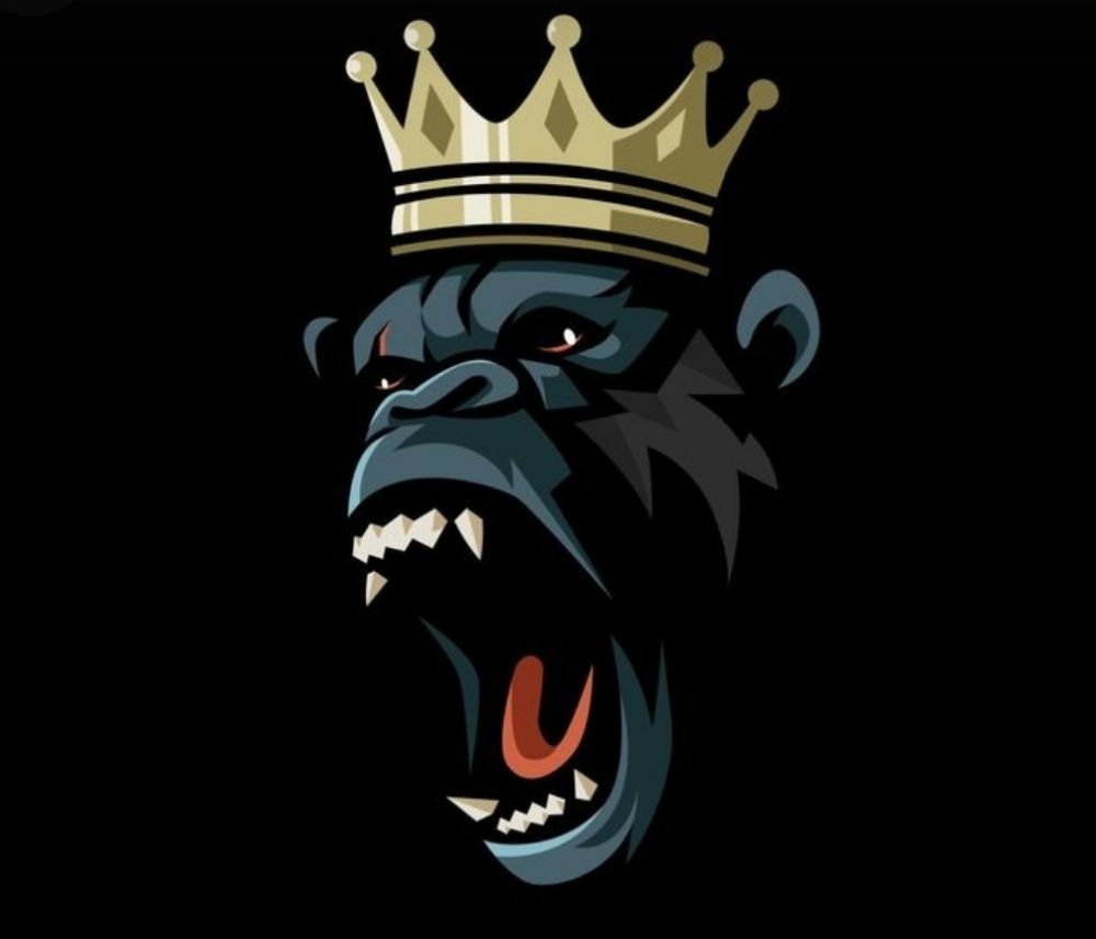 JUNK MONKEY REMOVAL & HAUL OFF - Updated August 2024 - Request a Quote ...