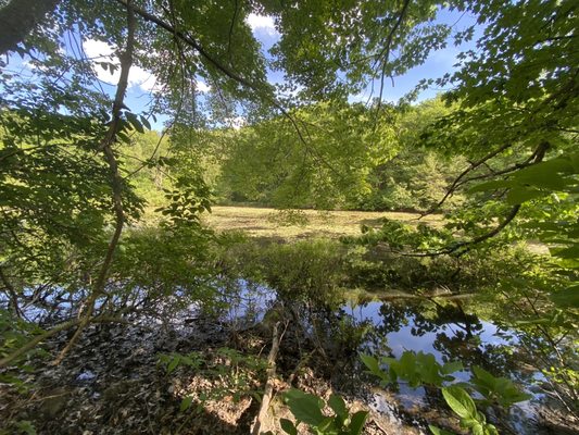 WHIPPLE HILL - Updated July 2025 - 17 Photos - 1625 Massachusetts Ave ...