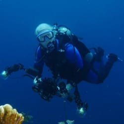 EASTLACK ROBERT K MD - 7910 Frost St, San Diego, CA - Yelp