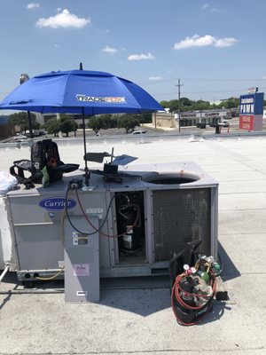 IRISH AIR - Updated September 2025 - 39 Photos & 12 Reviews - Temple ...