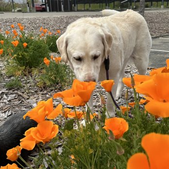 SHADOW CLIFFS REGIONAL RECREATION AREA - Updated November 2025 - 259 ...