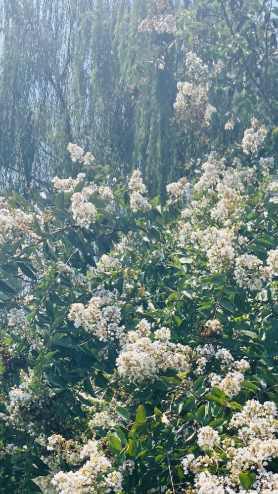 RIVER’S BEND WEDDING VENUE AND EVENTS - Updated January 2026 - 42 ...