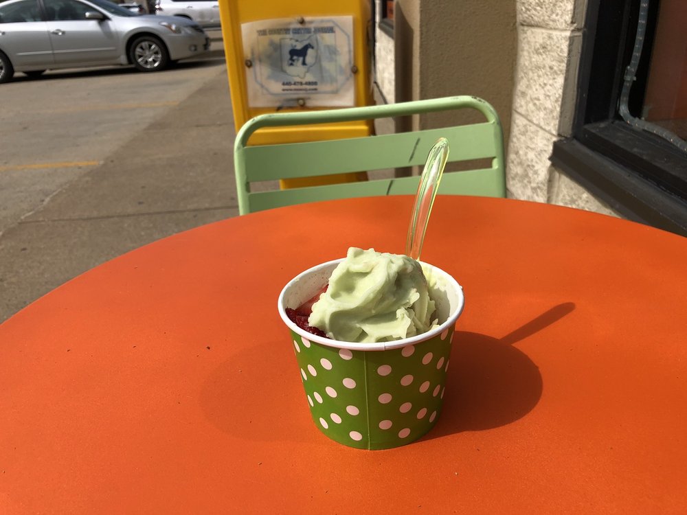 FROYO TWIST - Updated May 2024 - 13 Reviews - 7267 Center St, Mentor ...
