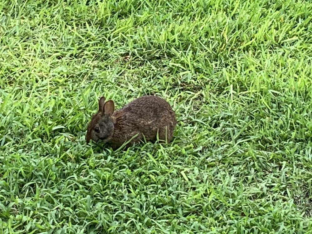 STERLING INSECT & LAWN CONTROL - Updated October 2025 - 11 Reviews ...