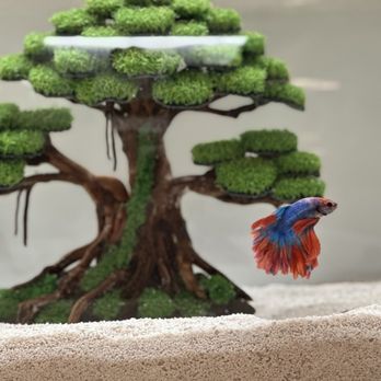 MONSTER AQUARIUM - Updated April 2025 - 68 Photos & 131 Reviews - 131 ...