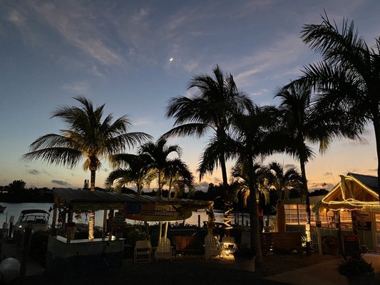 CASEY KEY FISH HOUSE - Updated December 2024 - 405 Photos & 639 Reviews ...