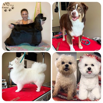 PERFORMANCE PETS - 10 Photos - Ewa Beach, Hawaii - Pet Groomers - Phone ...