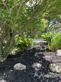 TYRUS’ TURF CARE - Updated July 2025 - Request a Quote - Newmarket ...