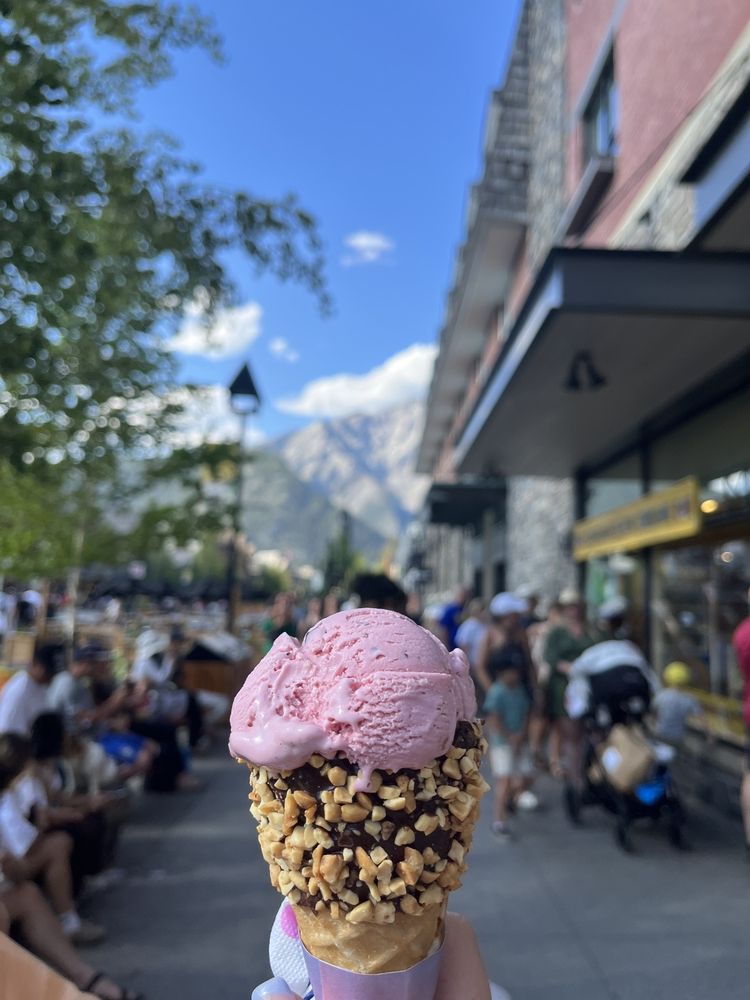 COWS - Updated October 2025 - 324 Photos & 210 Reviews - 138 Banff ...