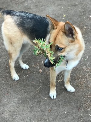 WAGVILLE - Updated November 2024 - 168 Photos & 302 Reviews - 2400 N ...