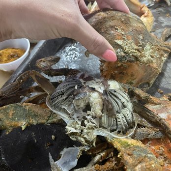 CAPTAIN PELL’S FAIRFAX CRABHOUSE - Updated July 2024 - 484 Photos & 694 ...