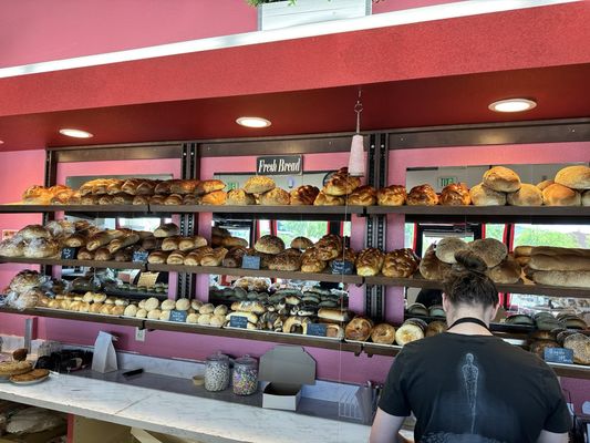 DAWNS NY BAKERY - Updated January 2026 - 105 Photos & 68 Reviews - 111 ...