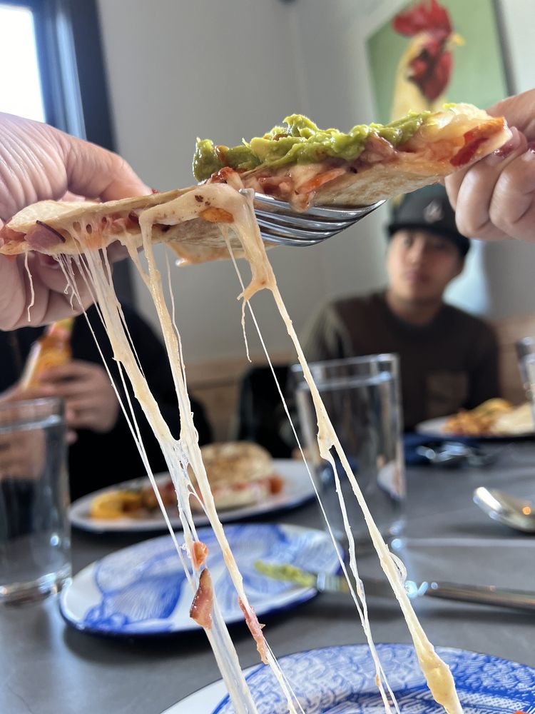 DON GALLO - Updated December 2025 - 94 Photos & 76 Reviews - 412 Main ...