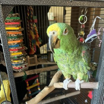 MAGNOLIA BIRD FARM - Updated May 2025 - 142 Photos & 193 Reviews ...