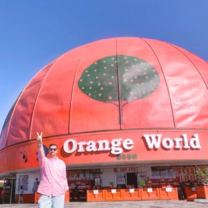 FLORIDA ORANGE WORLD - 97 Photos & 71 Reviews - 5395 W Irlo Bronson ...