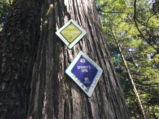 SEA TO SUMMIT TRAIL - Updated October 2024 - 28 Photos - 36800 BC-99 ...