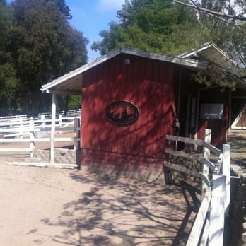 MARTIN PERFORMANCE HORSES - Updated December 2025 - 2 Empty Saddle Rd ...