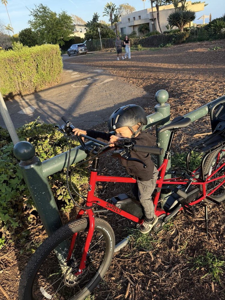 FASTRACK BICYCLES - Updated November 2025 - 14 Photos & 64 Reviews ...