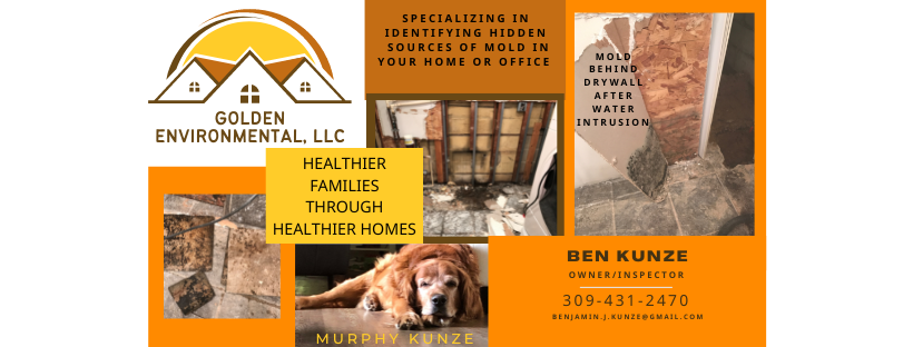 GOLDEN ENVIRONMENTAL - Updated November 2025 - Request Consultation ...