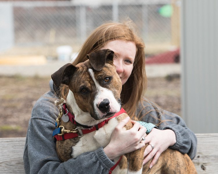 Sweet Marley - Friends For Animals Of Metro Detroit Friends For Animals ...