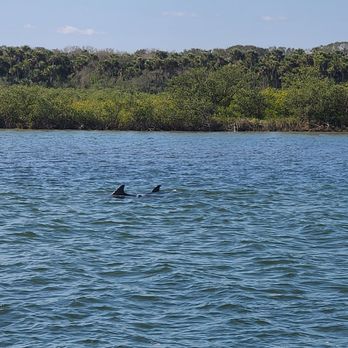 TURTLE MOUND RIVER TOURS - Updated March 2025 - 89 Photos & 62 Reviews ...