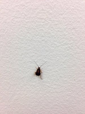 CSULB LIBRARY - Updated July 2025 - 20 Photos & 48 Reviews - 1250 N ...