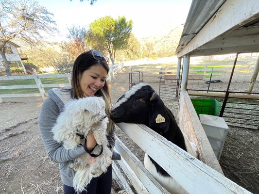 LAZY J RANCH MOTEL - Updated May 2025 - 87 Photos & 101 Reviews - 39625 ...