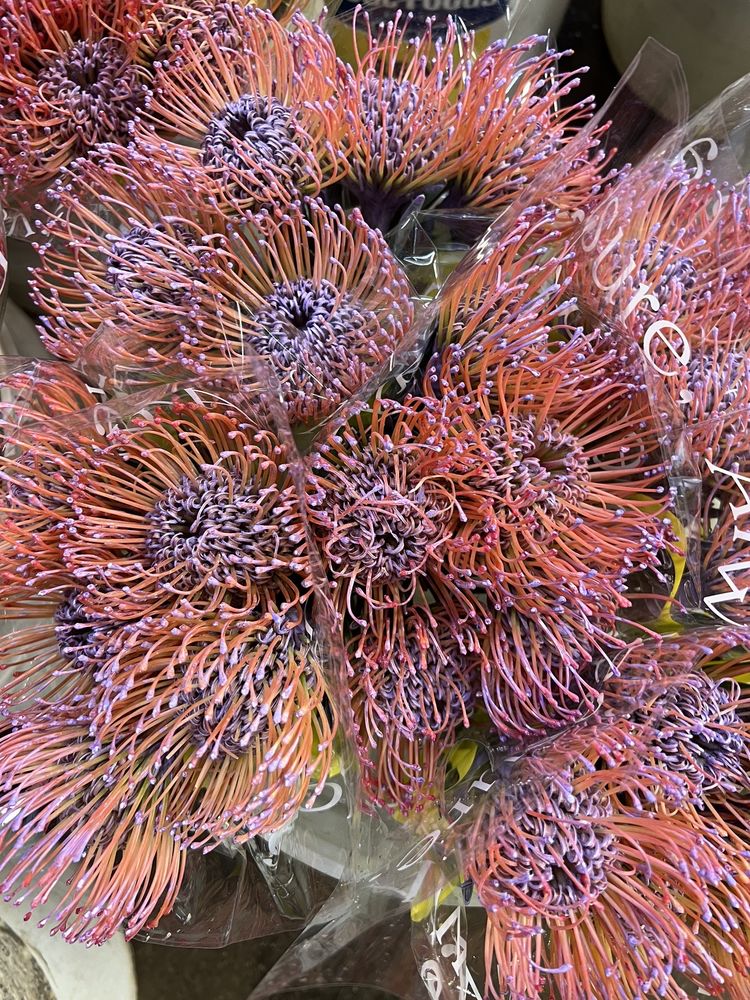 MAYESH WHOLESALE FLORIST,INC - Updated October 2025 - 5401 W 104th St ...