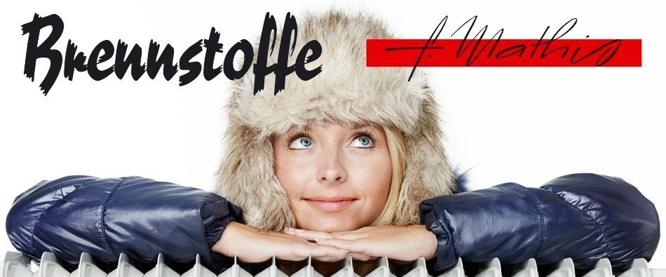 MATHIS FRANZ GMBH - Treietstraße 4, Rankweil, Vorarlberg, Austria ...