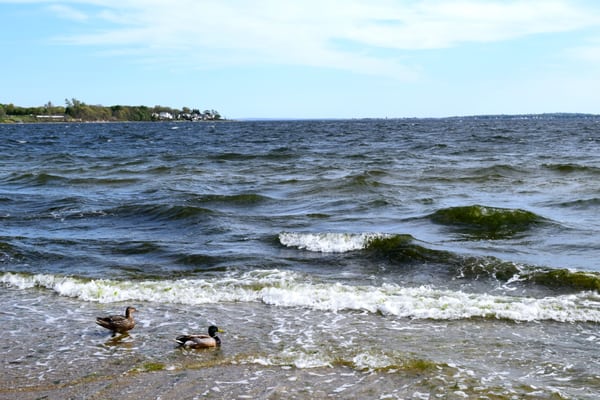 SABIN POINT PARK - Updated July 2025 - 37 Photos - 130 Shore Rd, East ...