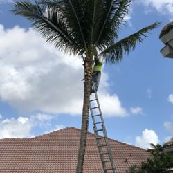 WOLFER LANDSCAPE SERVICES - 36 Photos - Landscaping - 5371 SW 58th Ave ...