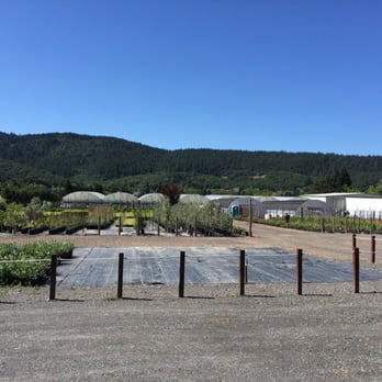 NOVAVINE GRAPEVINE NURSERY - Updated July 2025 - 6735 Sonoma Hwy, Santa ...