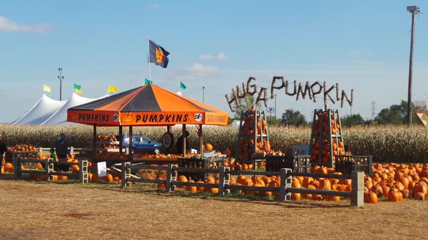 SEVER’S CORN MAZE & FALL FESTIVAL - Updated October 2024 - 57 Photos ...