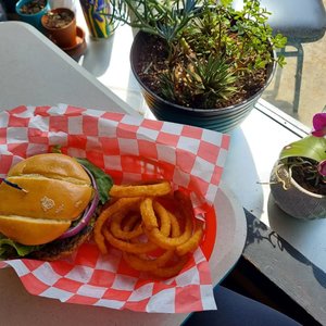 SHADY LANE CAFE - 135 Photos & 139 Reviews - 4806 Brownsboro Rd ...