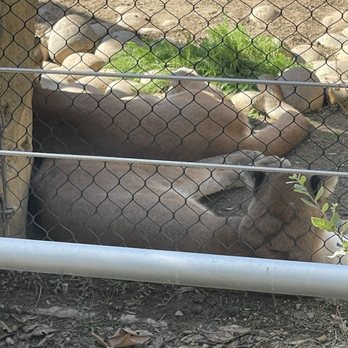 OC ZOO IRVINE REGIONAL PARK - Updated May 2025 - 100 Photos & 34 ...