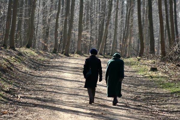 SUNSHINE CREMATION SERVICES - 22 Photos & 14 Reviews - 9070 Kimberly Blvd, Boca Raton, Florida ...