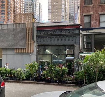 NOBLE PLANTS - Updated October 2025 - 47 Photos & 95 Reviews - 106 W ...
