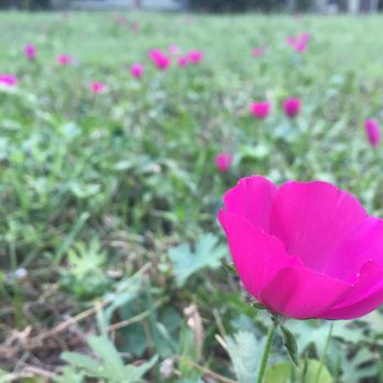 TRINITY VIEW PARK - Updated October 2025 - 12 Photos - 2445 Texas 356 ...