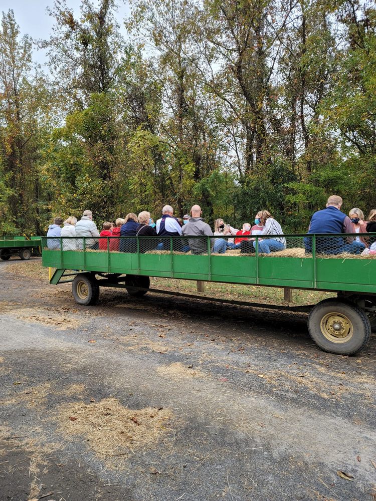 BO BROOK FARMS - Updated September 2024 - 30 Photos & 13 Reviews ...